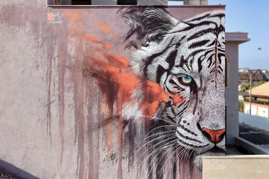 Sonny Behan - Monochronicle